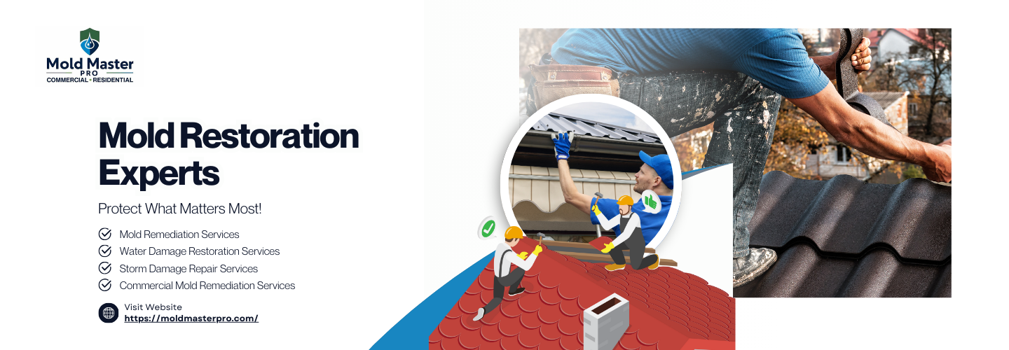 Mold Master Pro – Young Aces Portal
